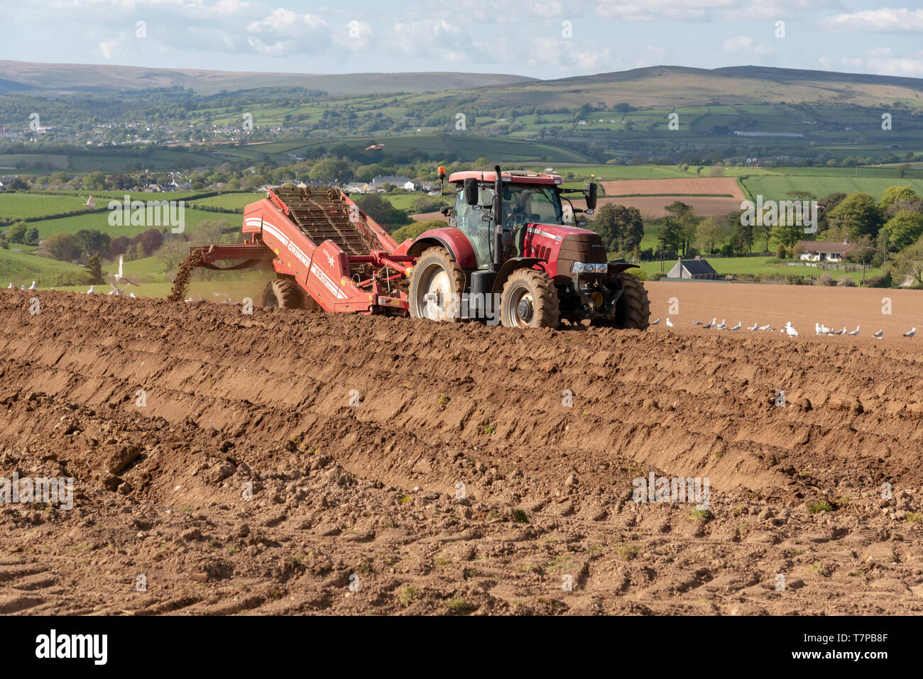 Farming Field Ridges Soil High Resolution Stock Photography and Images ...