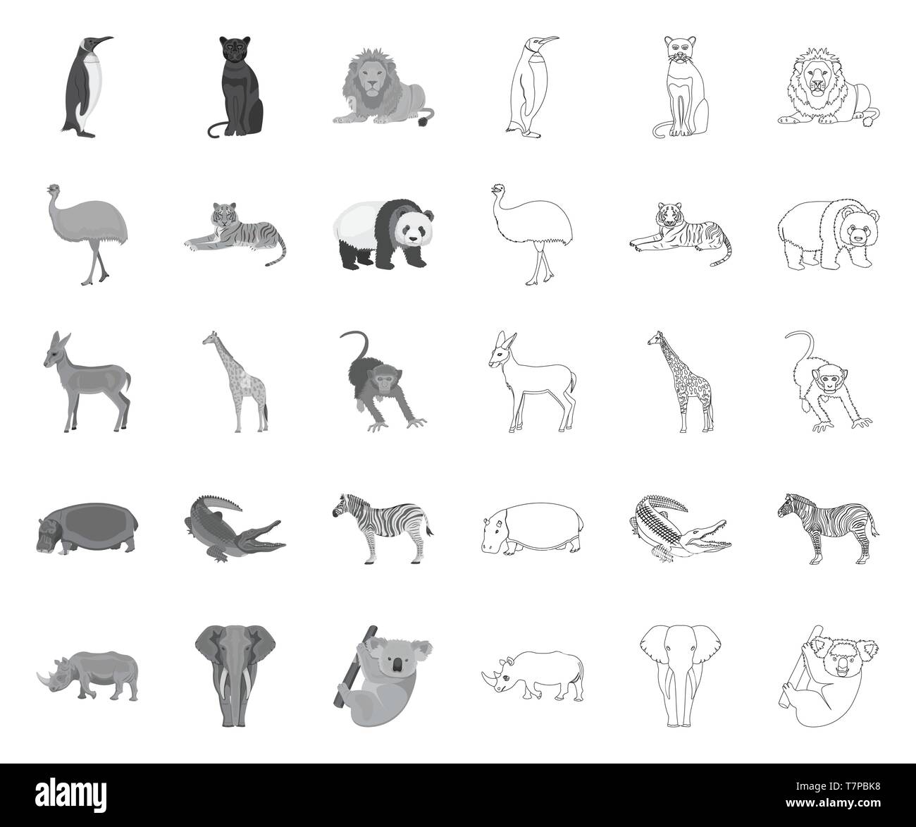 african,animal,antelope,artiodactyl,artiodactyla,beast,bird,cloven ...
