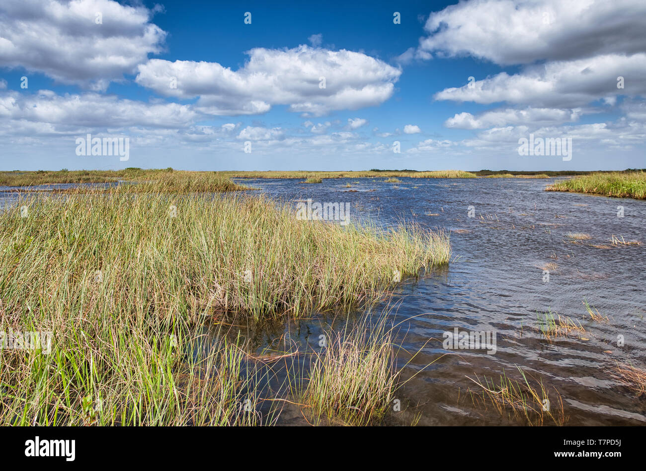 Everglades national park florida aerial hi-res stock photography and ...