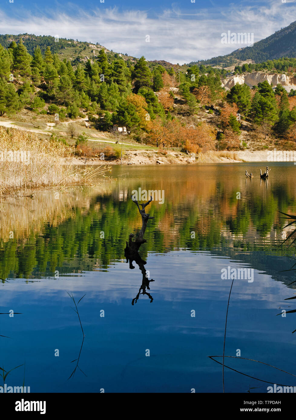 Helmos High Resolution Stock Photography and Images - Alamy