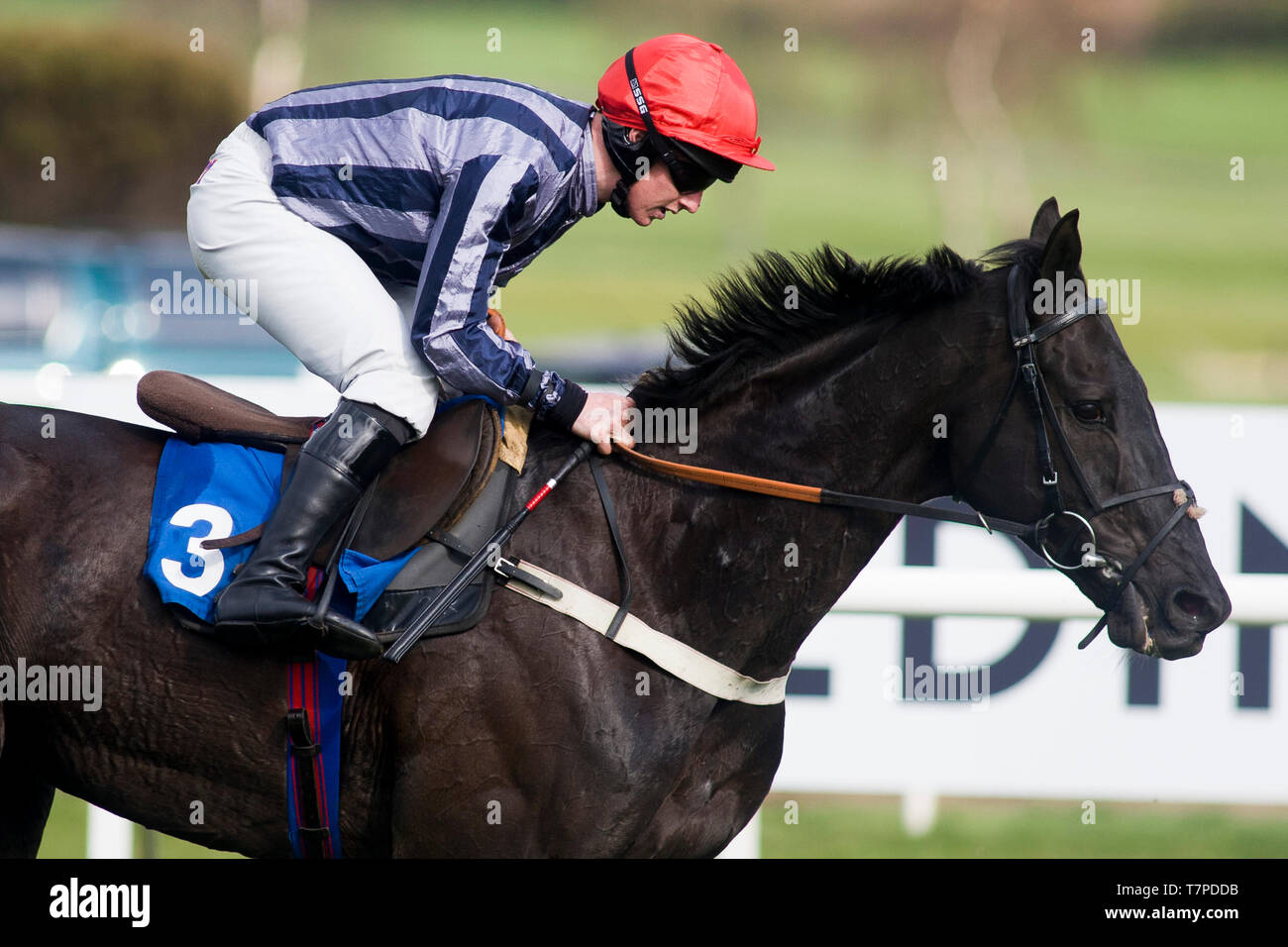 Kelso, Scotland - April 8: during the Kelso Races Buccleuch Cup Day ...