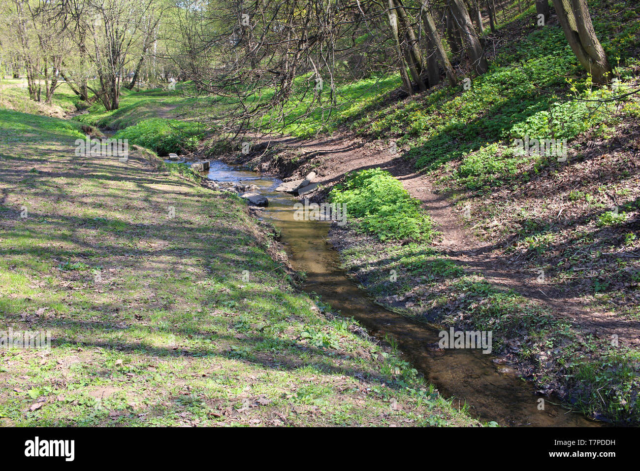 Natural sparkling spring water hi-res stock photography and images - Alamy