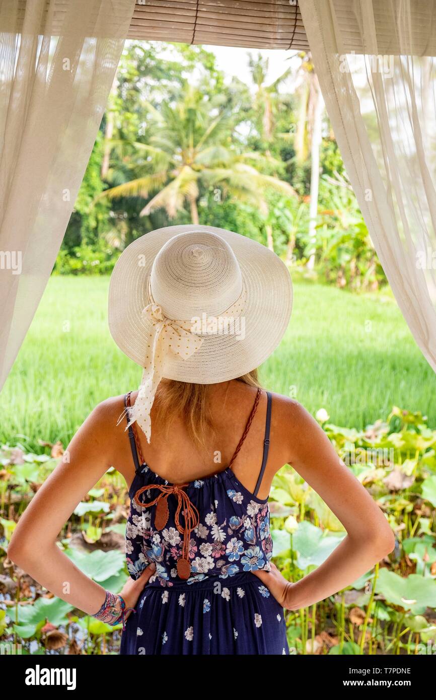 Indonesia, Bali, Ubud, girl under a pergola in the rice fields Stock ...