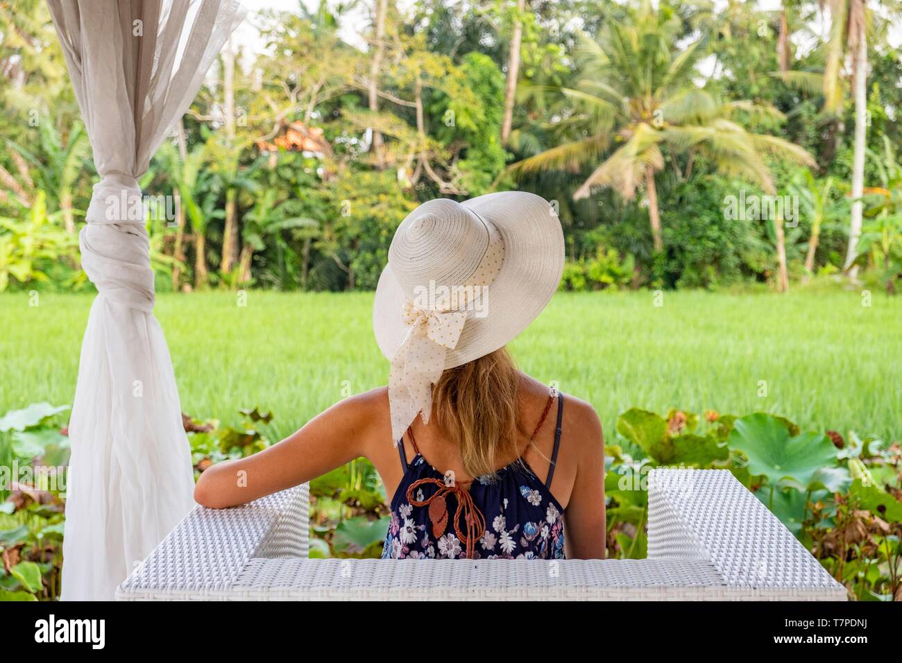 Indonesia, Bali, Ubud, girl under a pergola in the rice fields Stock ...