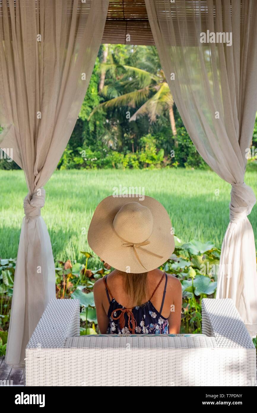 Indonesia, Bali, Ubud, girl under a pergola in the rice fields Stock ...