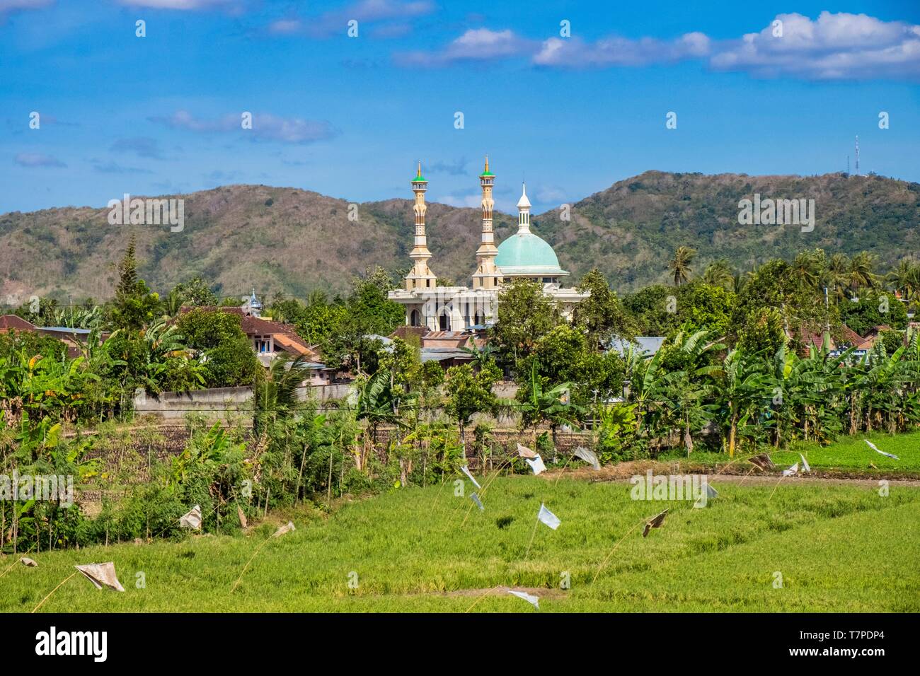 Indonesia, Lombok, mosque of the center of the island Stock Photo - Alamy