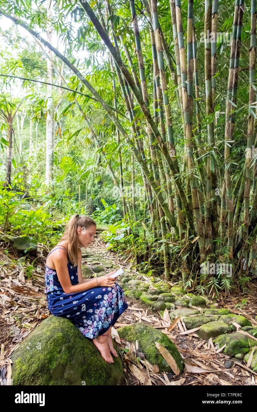 Young Girl Reading In Forest High Resolution Stock Photography and ...