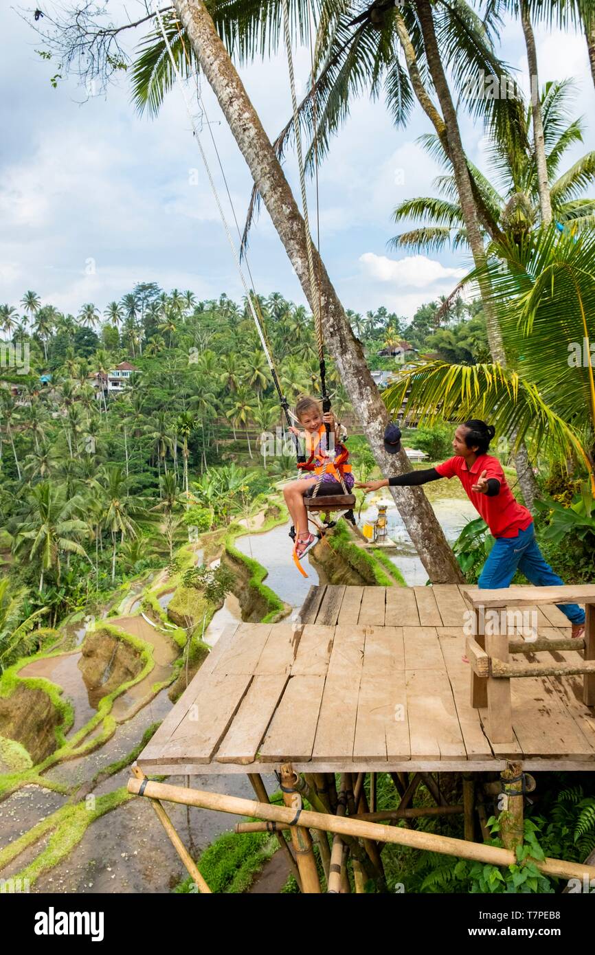 Indonesia, Bali, Center, Ubud Region, Giant Giant Giant Rope Above ...