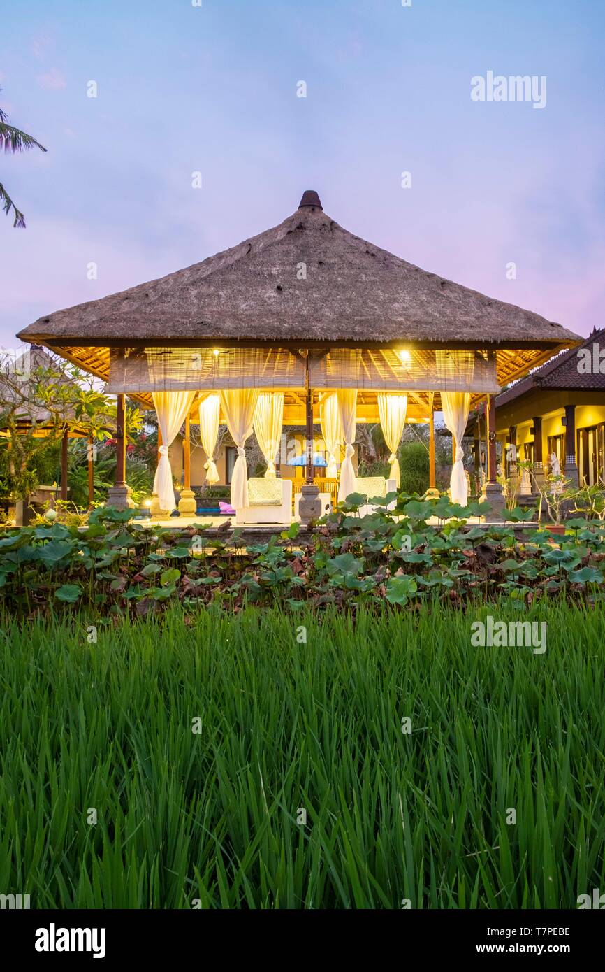 Indonesia, Bali, Center, Ubud, Mas village, Maha Lakshmi's pergola ...