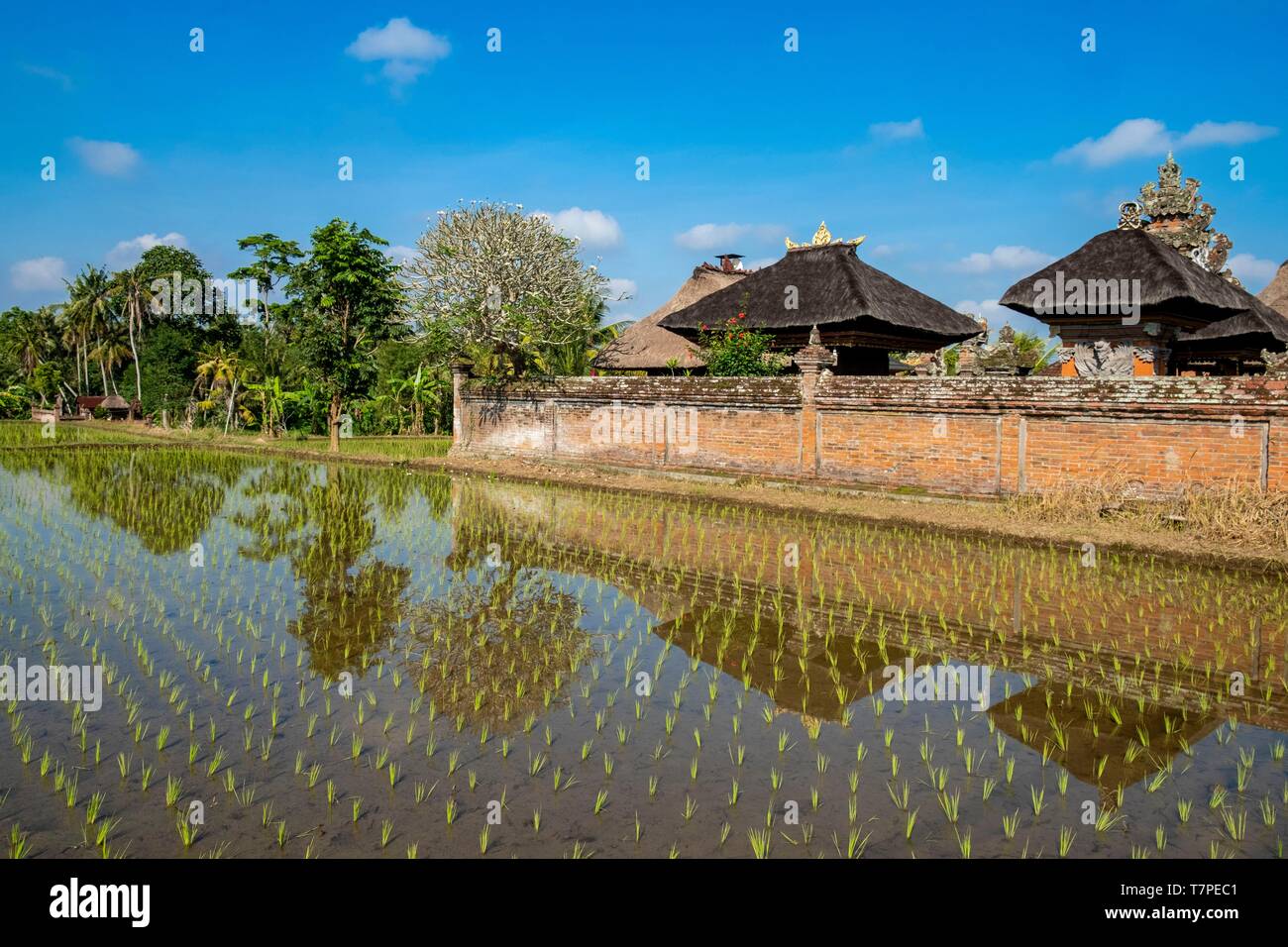Indonesia, Bali, Center, Ubud, a temple among the rice fields Stock ...