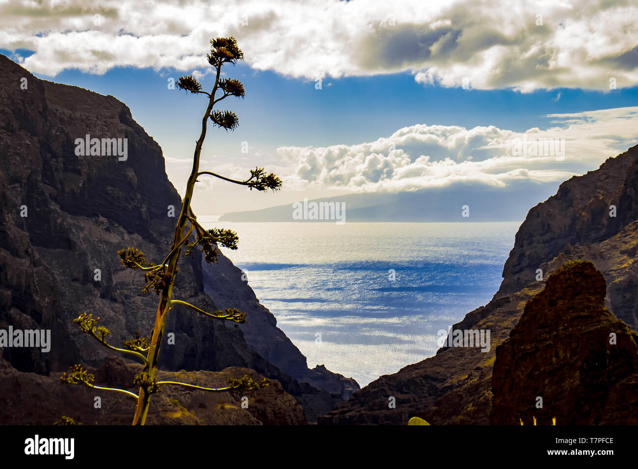 Amazing view of Masca Valley. Masca is a small village in the south ...