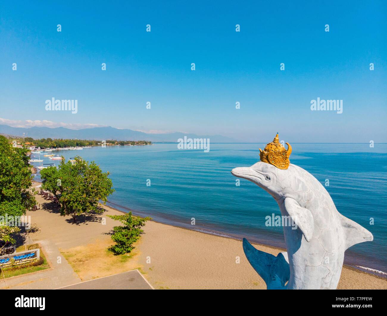 Aerial View Of Dolphin High Resolution Stock Photography and Images - Alamy