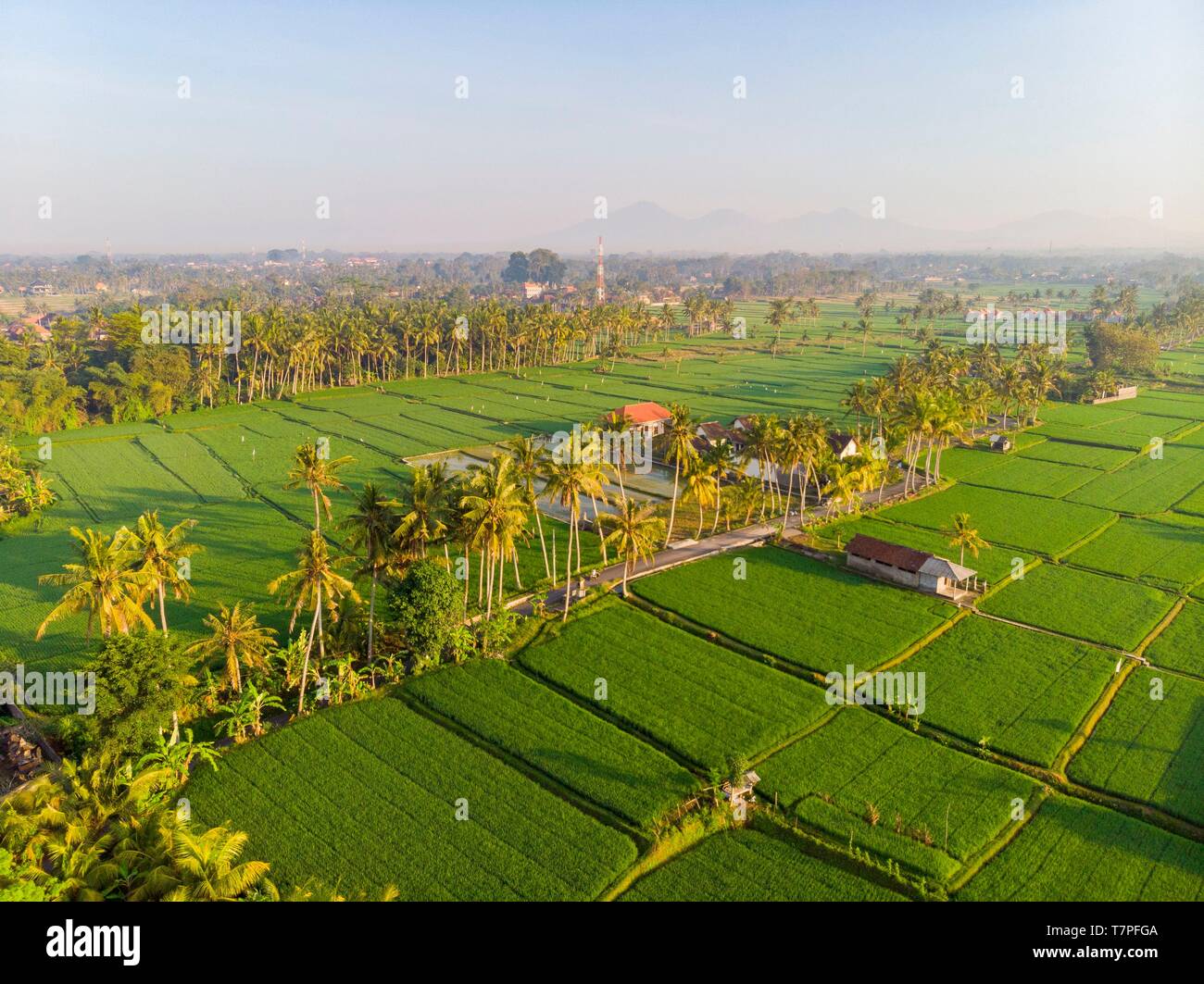 Indonesia, Bali center, Ubud, the village of Aas, surrounding rice ...