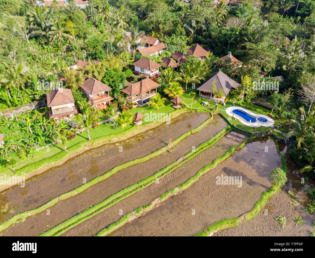 Pool and rice fields hi-res stock photography and images - Alamy