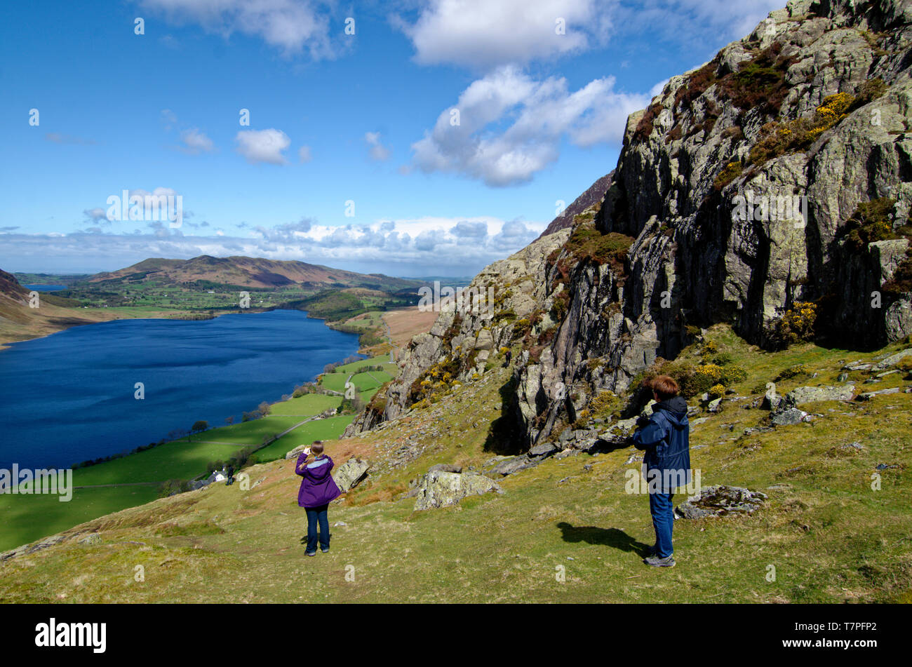 View over Crummock Water when walking down from Rannerdale Knotts in ...