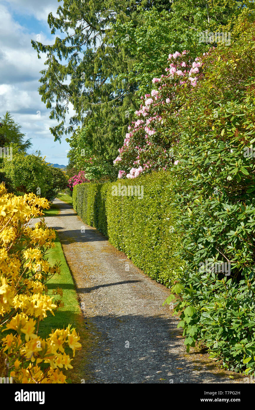 Azalea flower gardens hi-res stock photography and images - Alamy