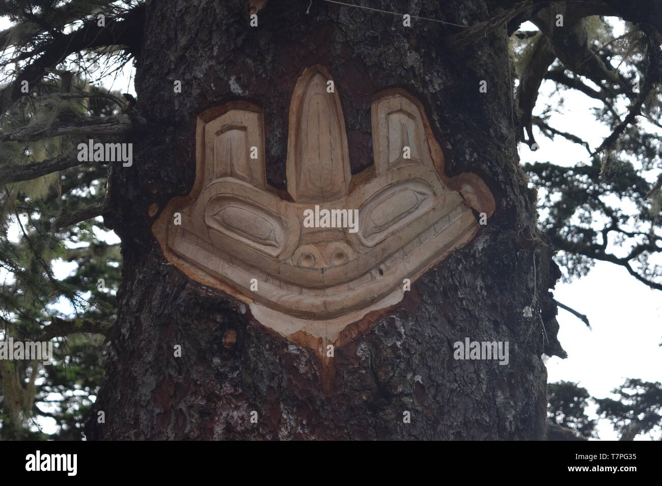 Tree carving hi-res stock photography and images - Alamy