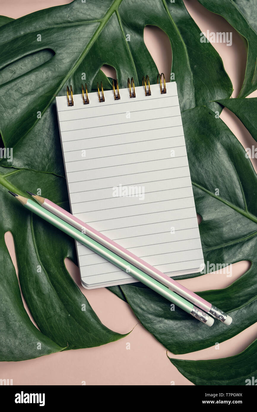 Top view of blank notepad with pen on monstera leaf and pink background ...