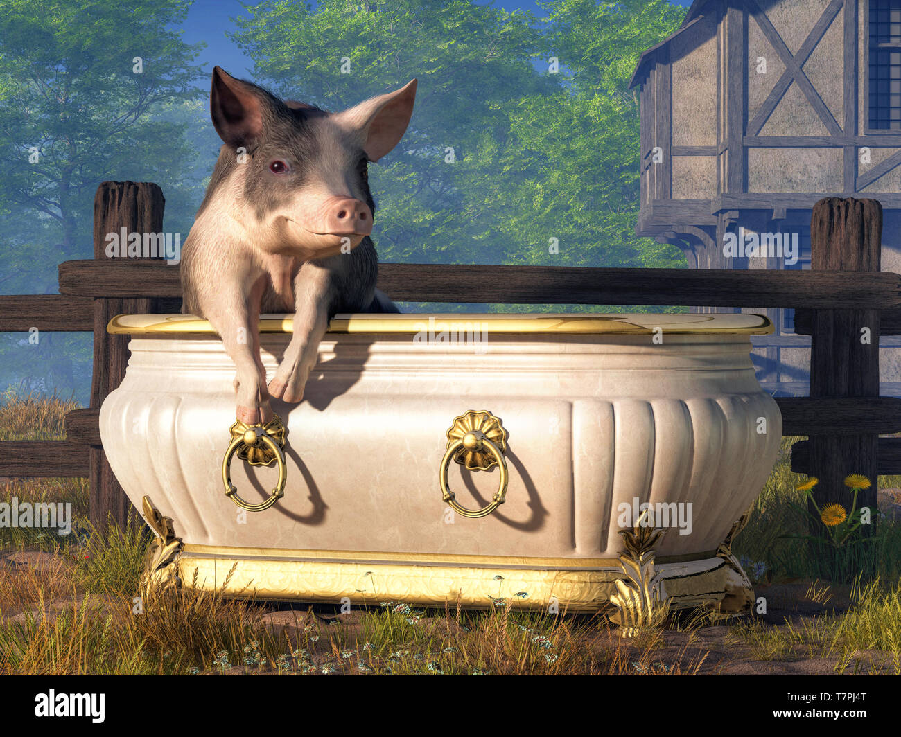 Fancy Pig