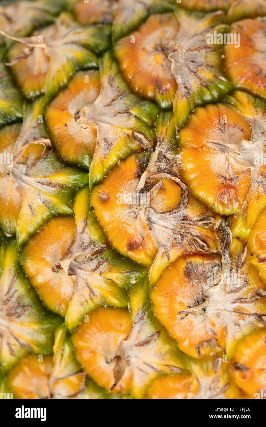 Pineapple skin hi-res stock photography and images - Alamy