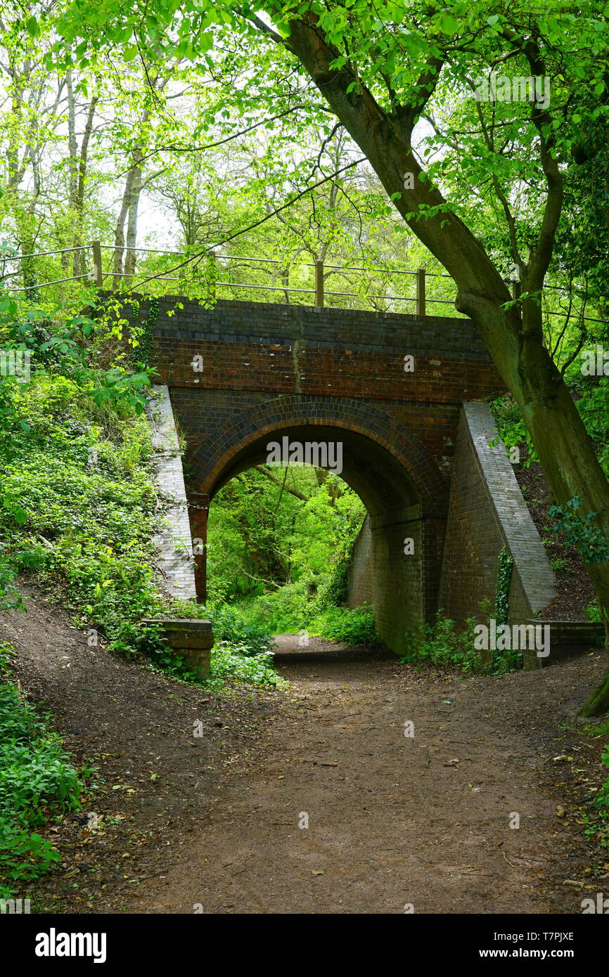 Hunter's Bridge on the Ayot Greenway, Hertfordshire Stock Photo - Alamy