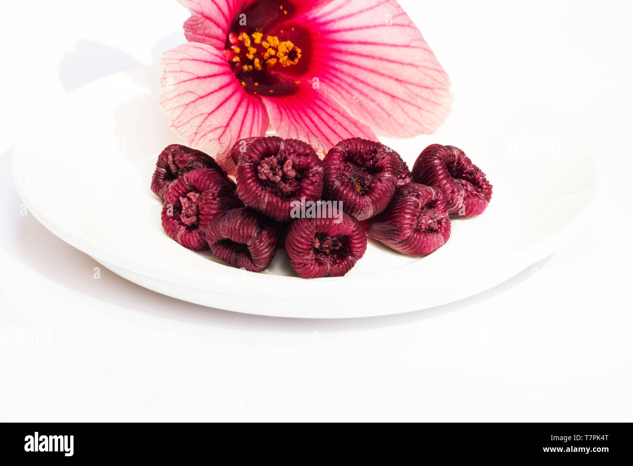 Roselle on white background Stock Photo - Alamy