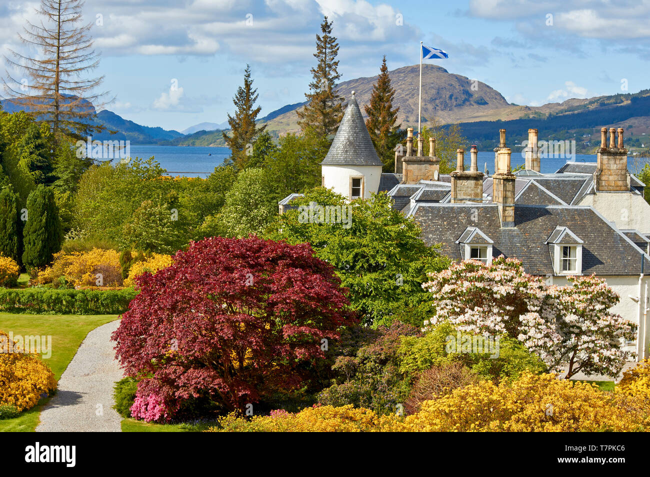 Strathcarron Scotland Loch High Resolution Stock Photography and Images ...