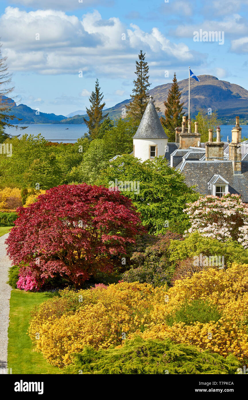 Attadale garden scotland hi-res stock photography and images - Alamy