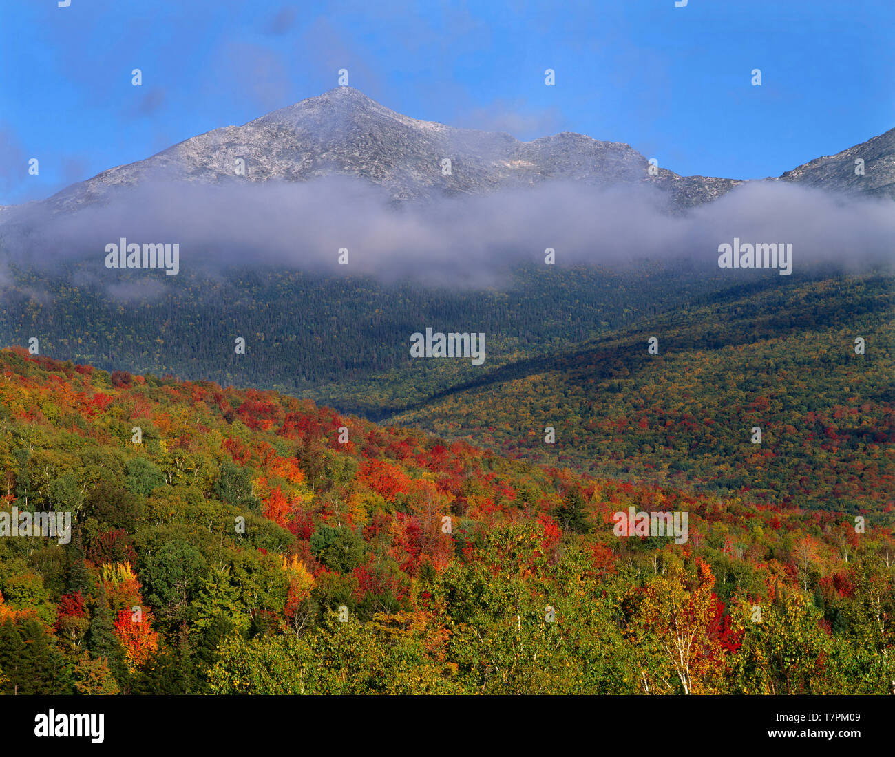 USA, New Hampshire, White Mountain National Forest, Fall colored slopes ...