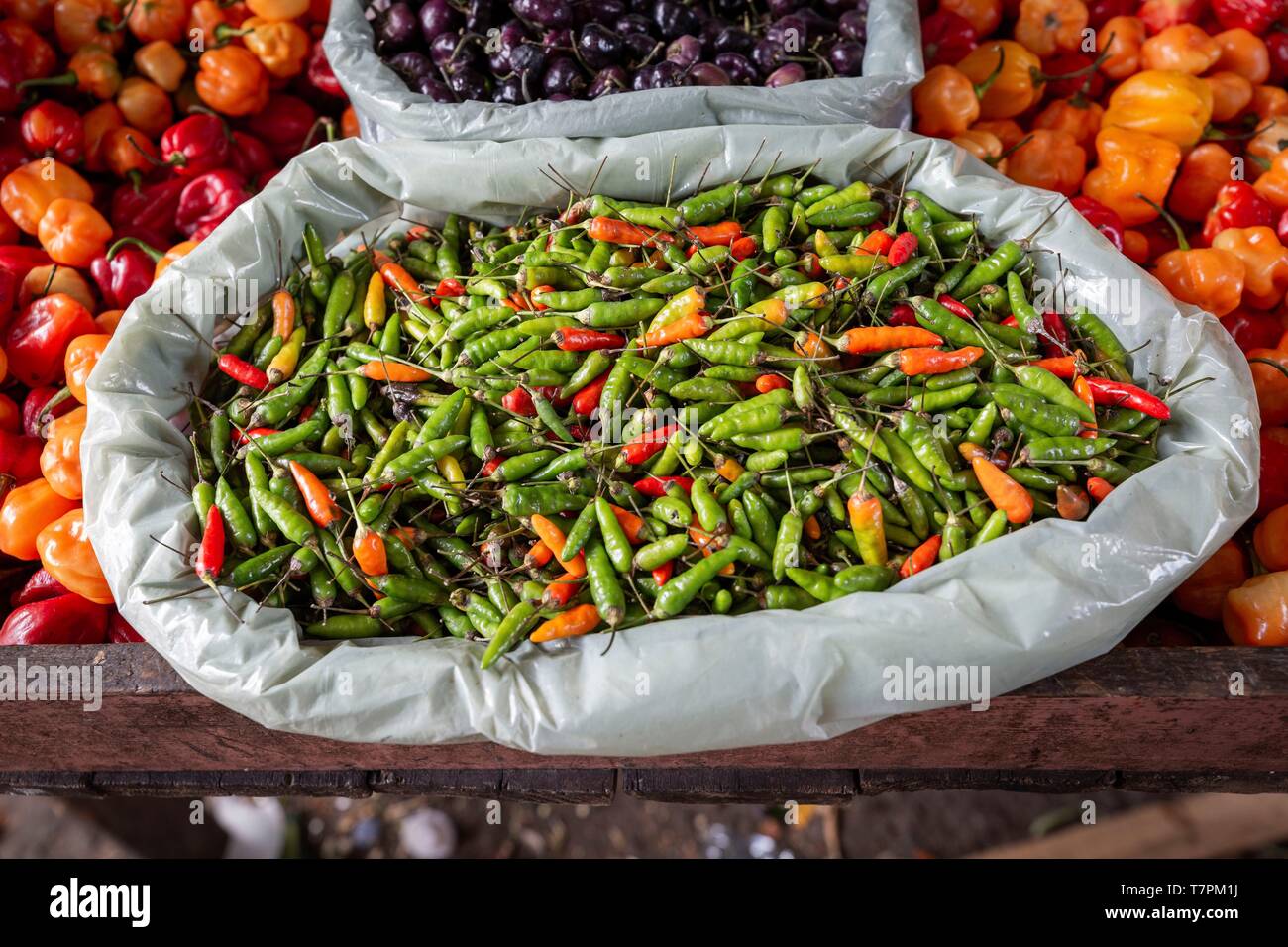 Brazil, Salvador de Bahia, Sao Joaquim Fair, pepper show Stock Photo ...