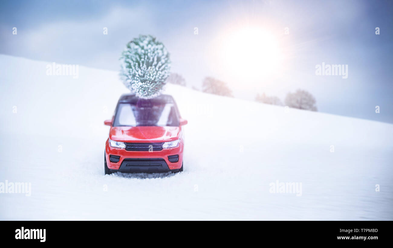 Flares through tree hi-res stock photography and images - Alamy