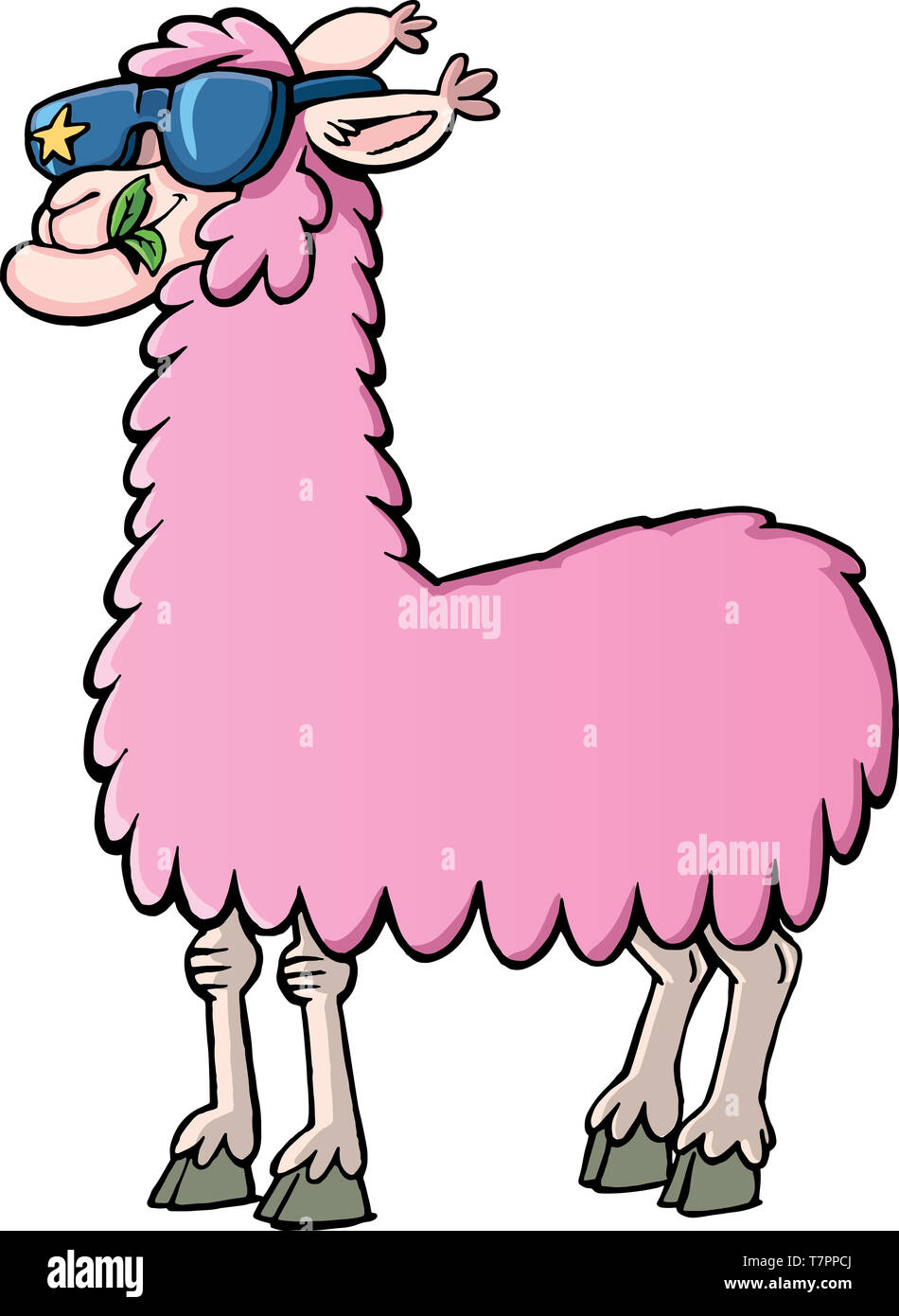 cold-blooded Llama eats leaves with sunglasses Stock Photo - Alamy