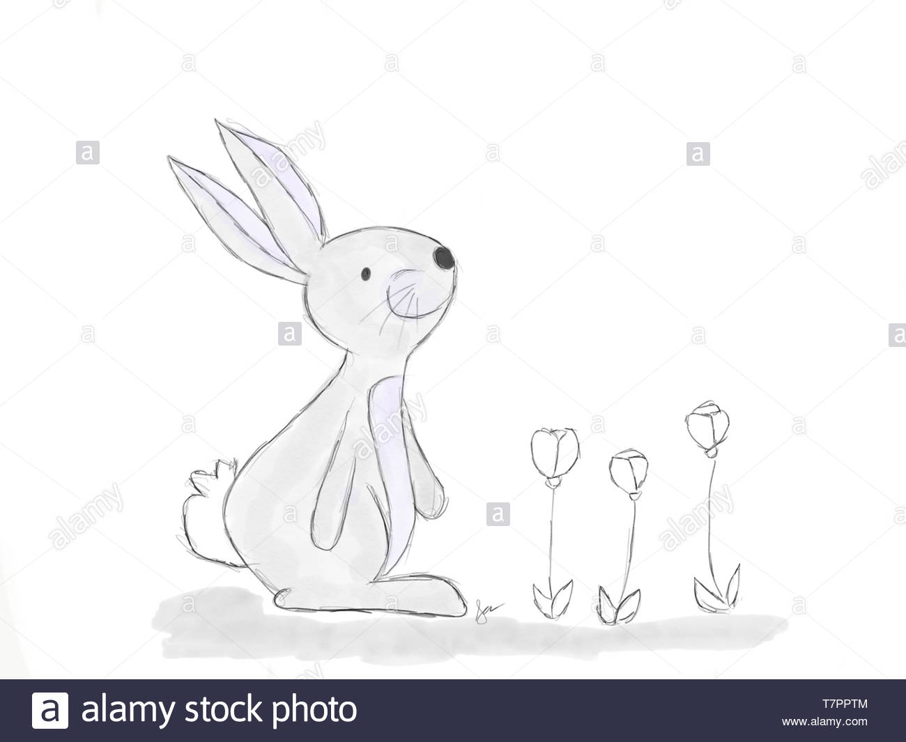 Rabbit Illustration Outline High Resolution Stock Photography and ...