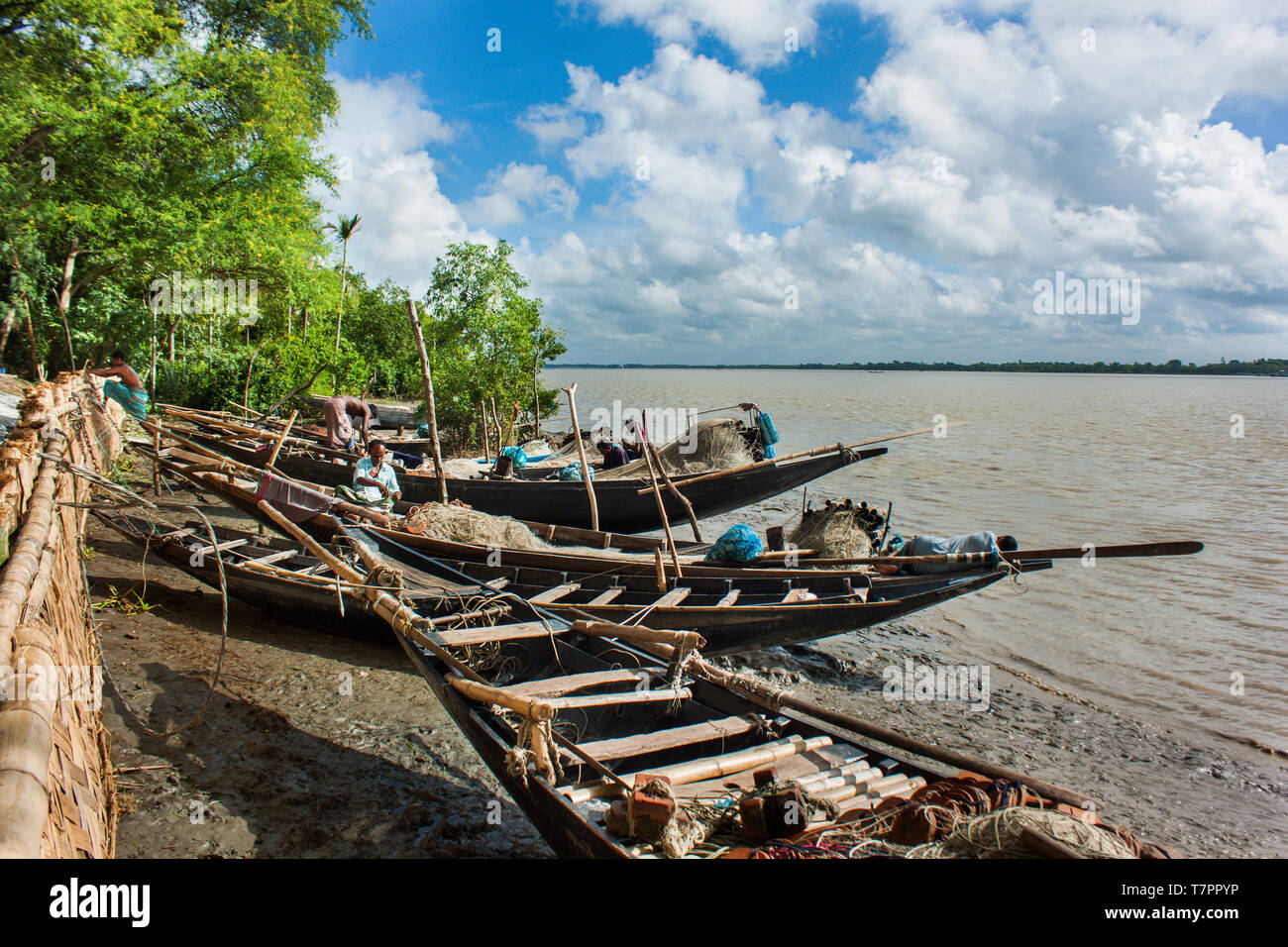 Bangladesh national fish hi-res stock photography and images - Alamy