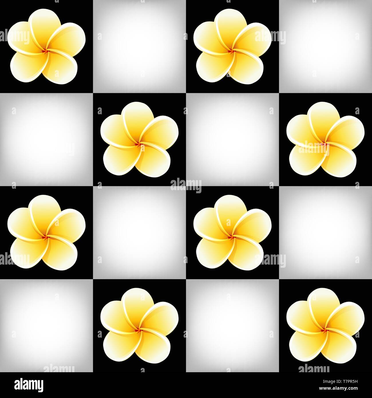 Checkerboard flower blossom hi-res stock photography and images - Alamy
