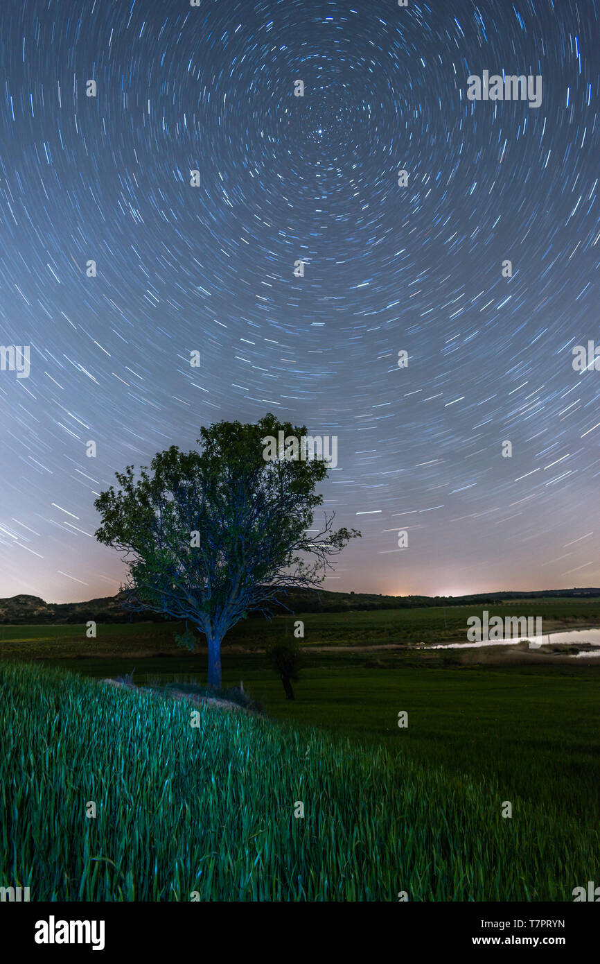 Circumpolar star hi-res stock photography and images - Alamy