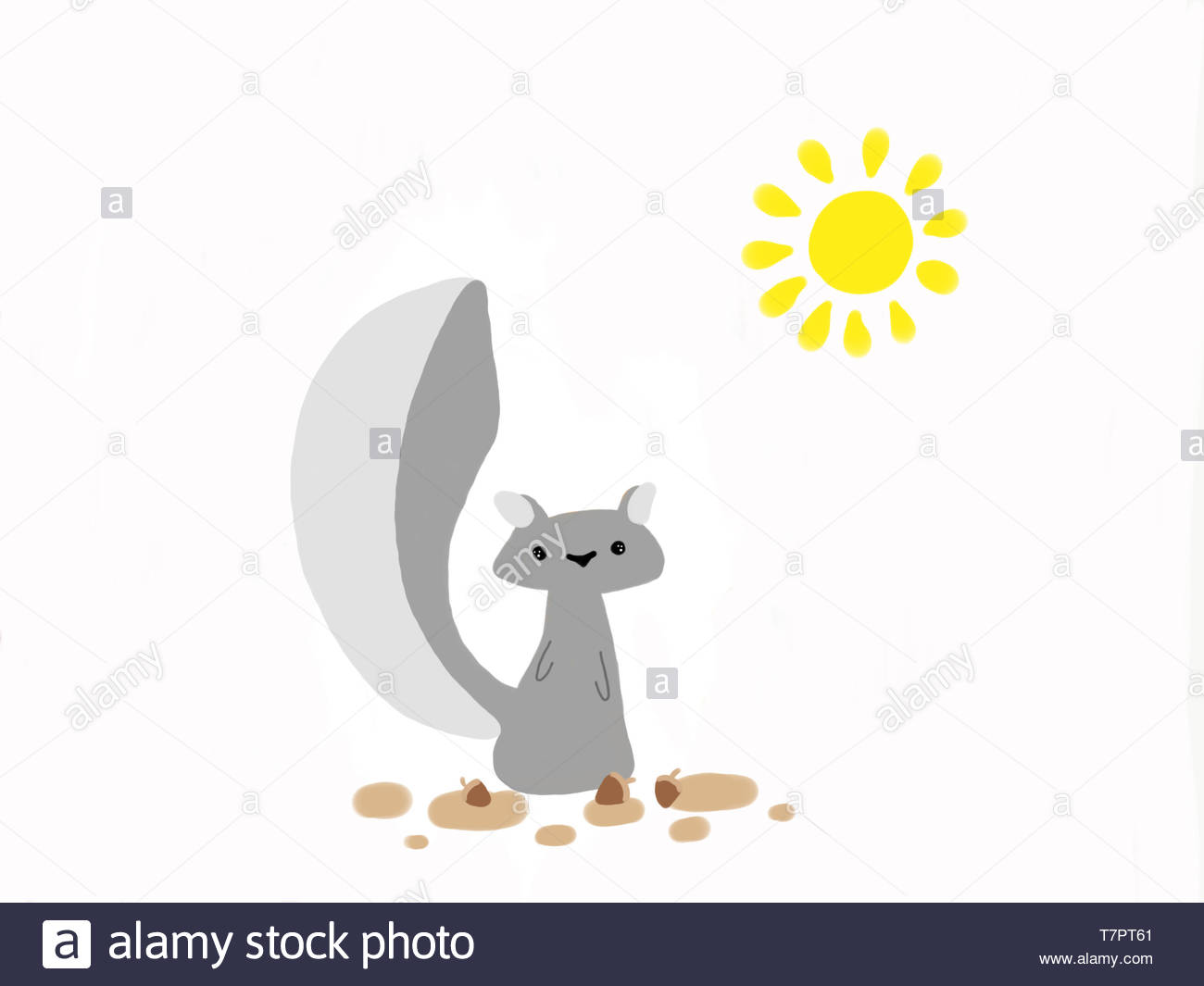 Gray Squirrel Drawing High Resolution Stock Photography and Images - Alamy