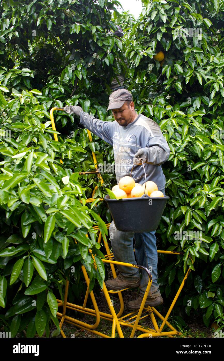 Lucciana hi-res stock photography and images - Alamy