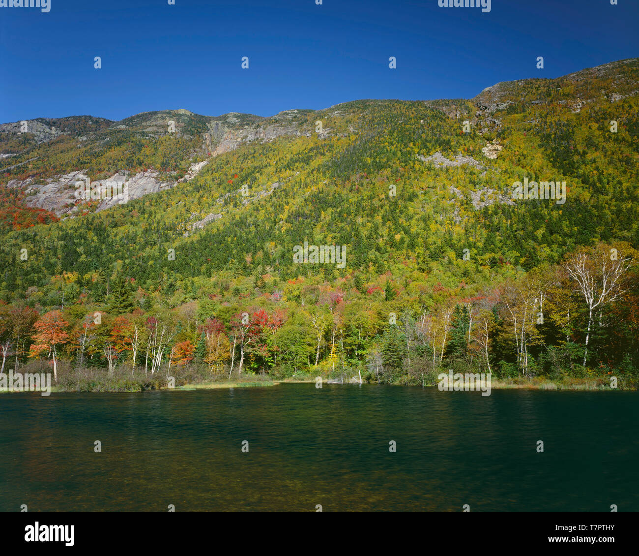 Crawford notch state park hi-res stock photography and images - Alamy