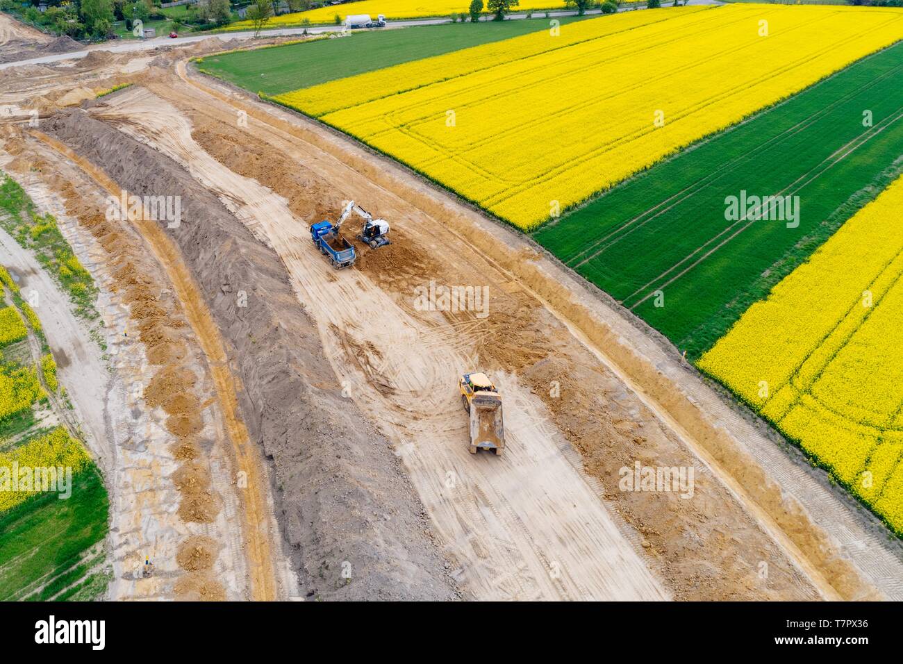 Excavator loader loading ground on truck. Road construction Stock Photo ...