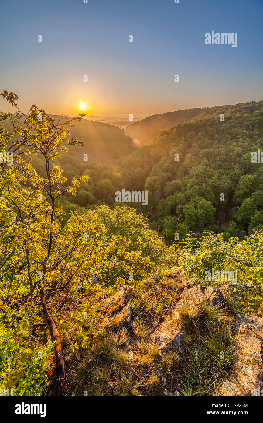 Kopparhatten hi-res stock photography and images - Alamy