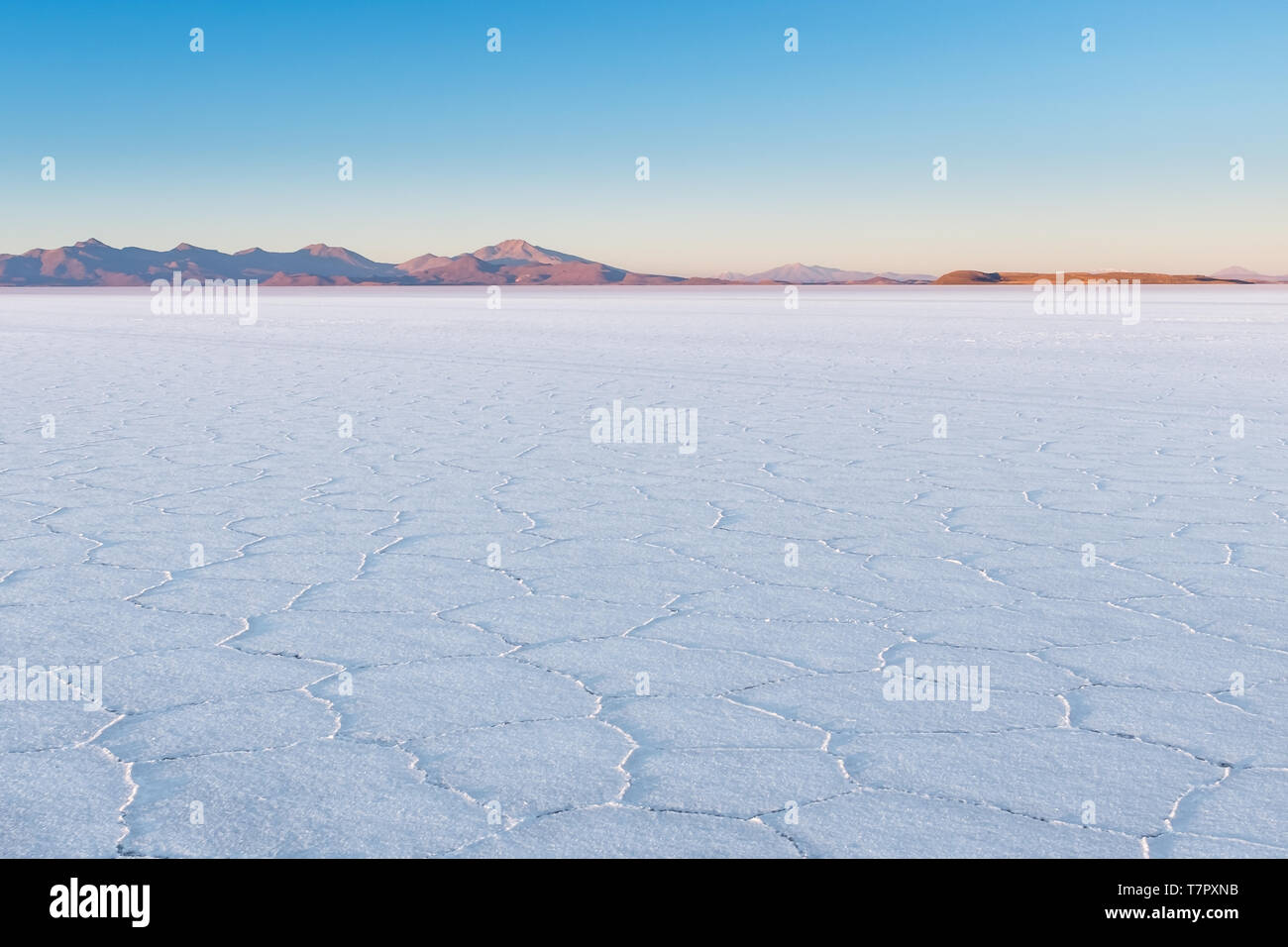 The amazing white vast landscape of the largest salt plain in the world ...