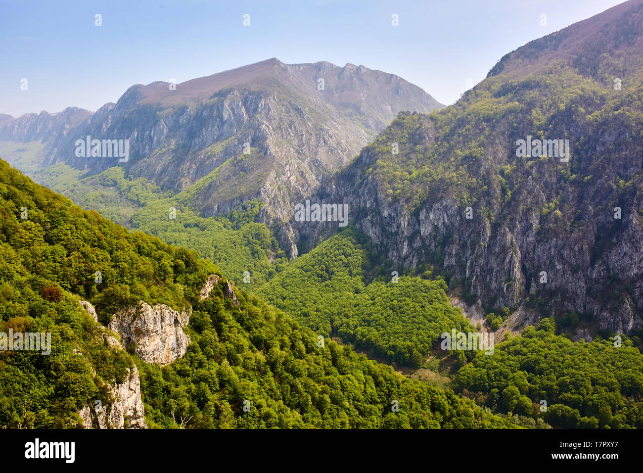 Afforested hi-res stock photography and images - Alamy