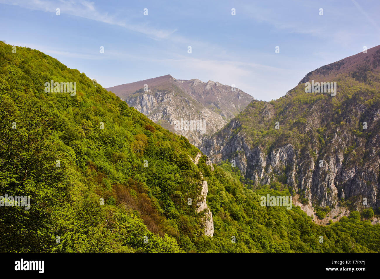 Afforested hi-res stock photography and images - Alamy