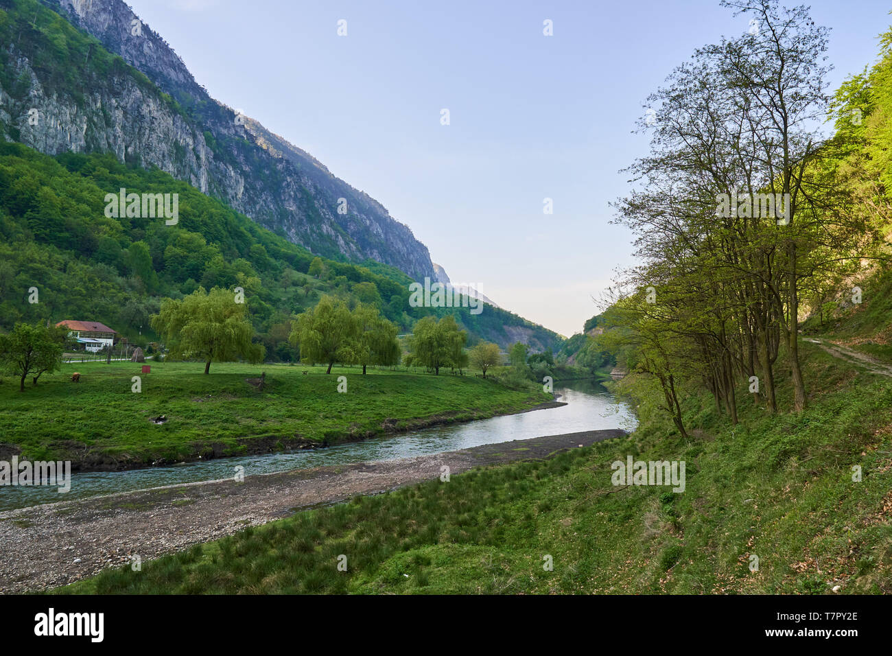 Landscape with river between mountains and forests Stock Photo - Alamy