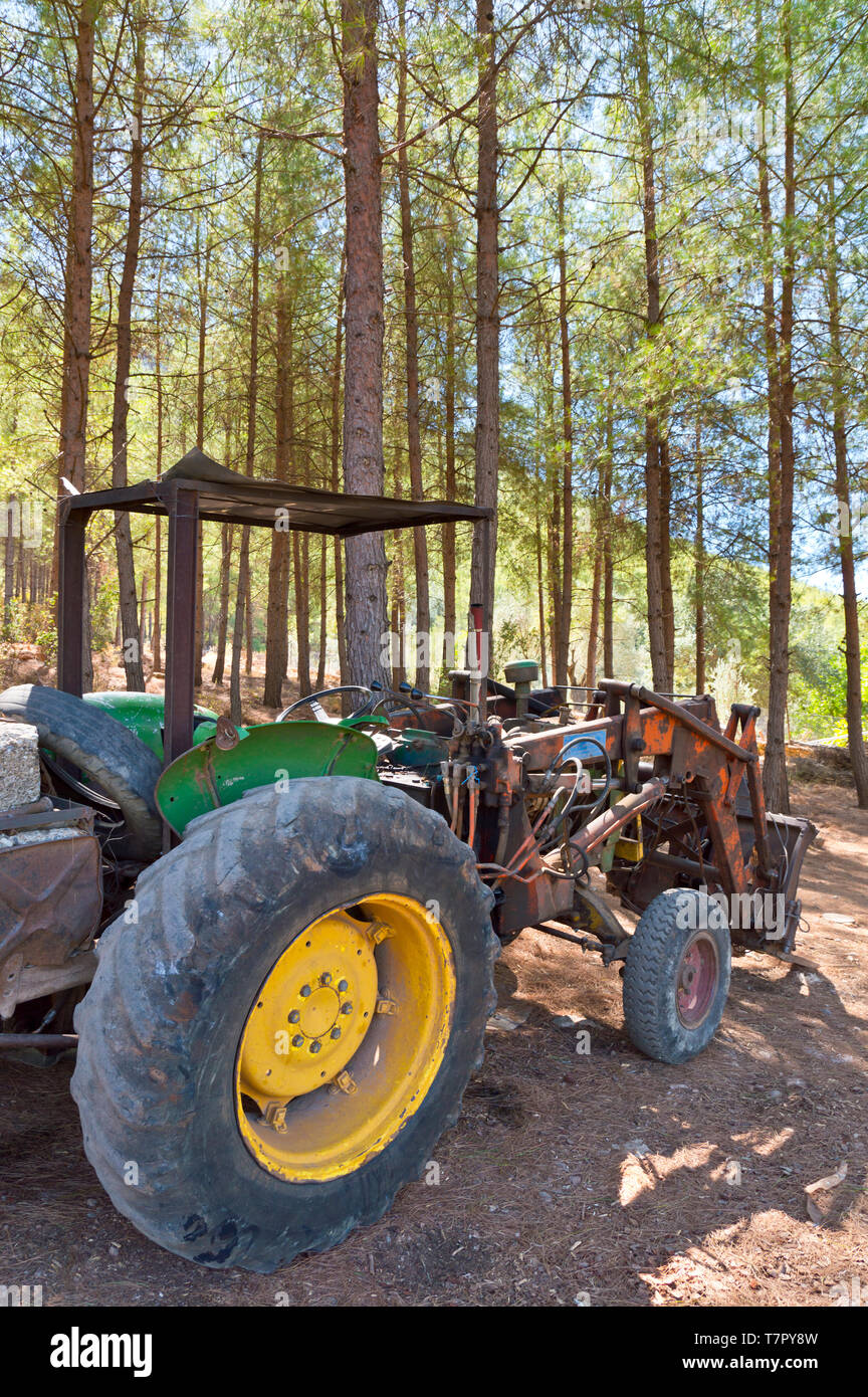 Abandoned old and dirty tractor on pine forest Stock Photo - Alamy