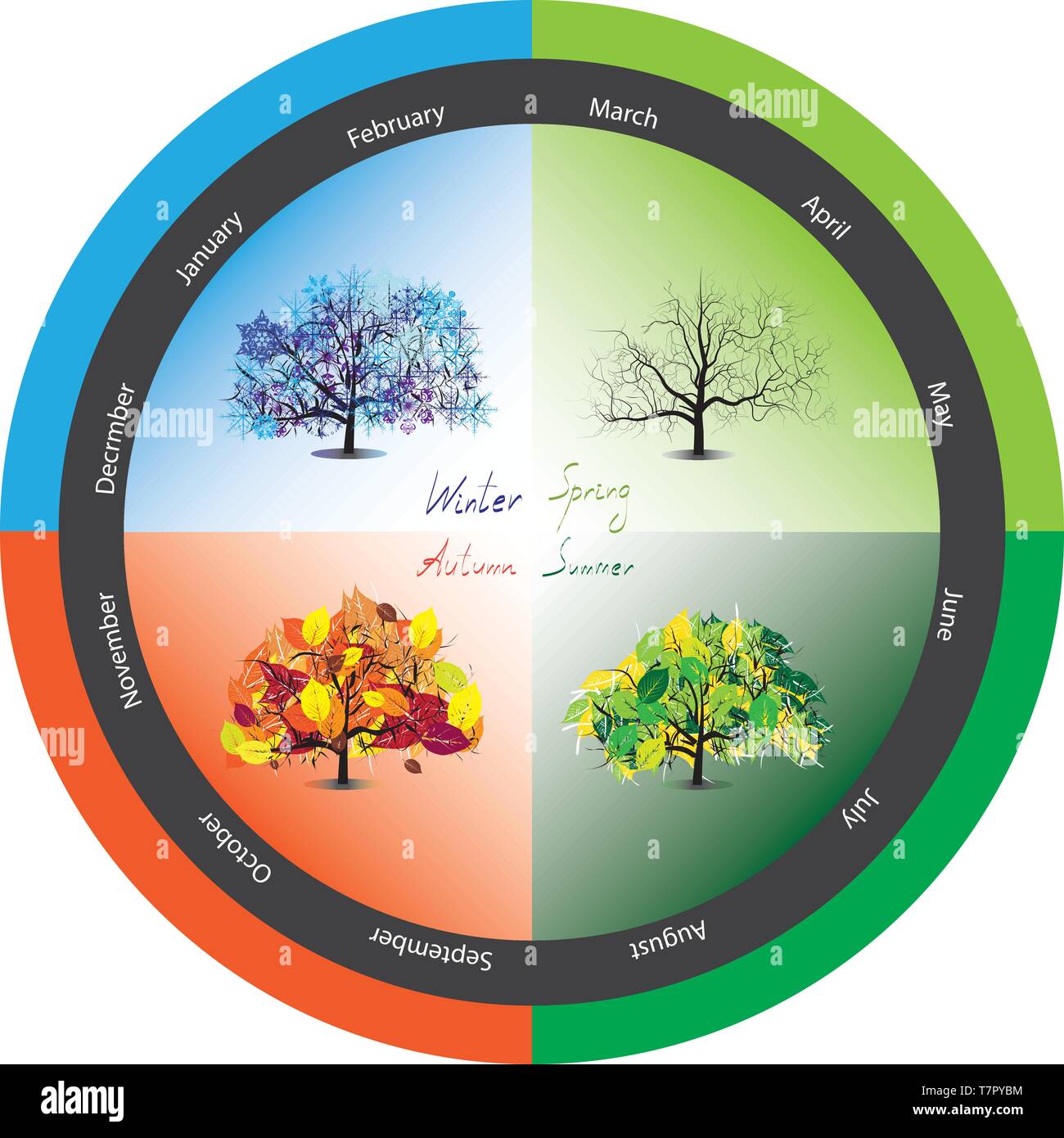 Year season trees Stock Vector Image & Art - Alamy