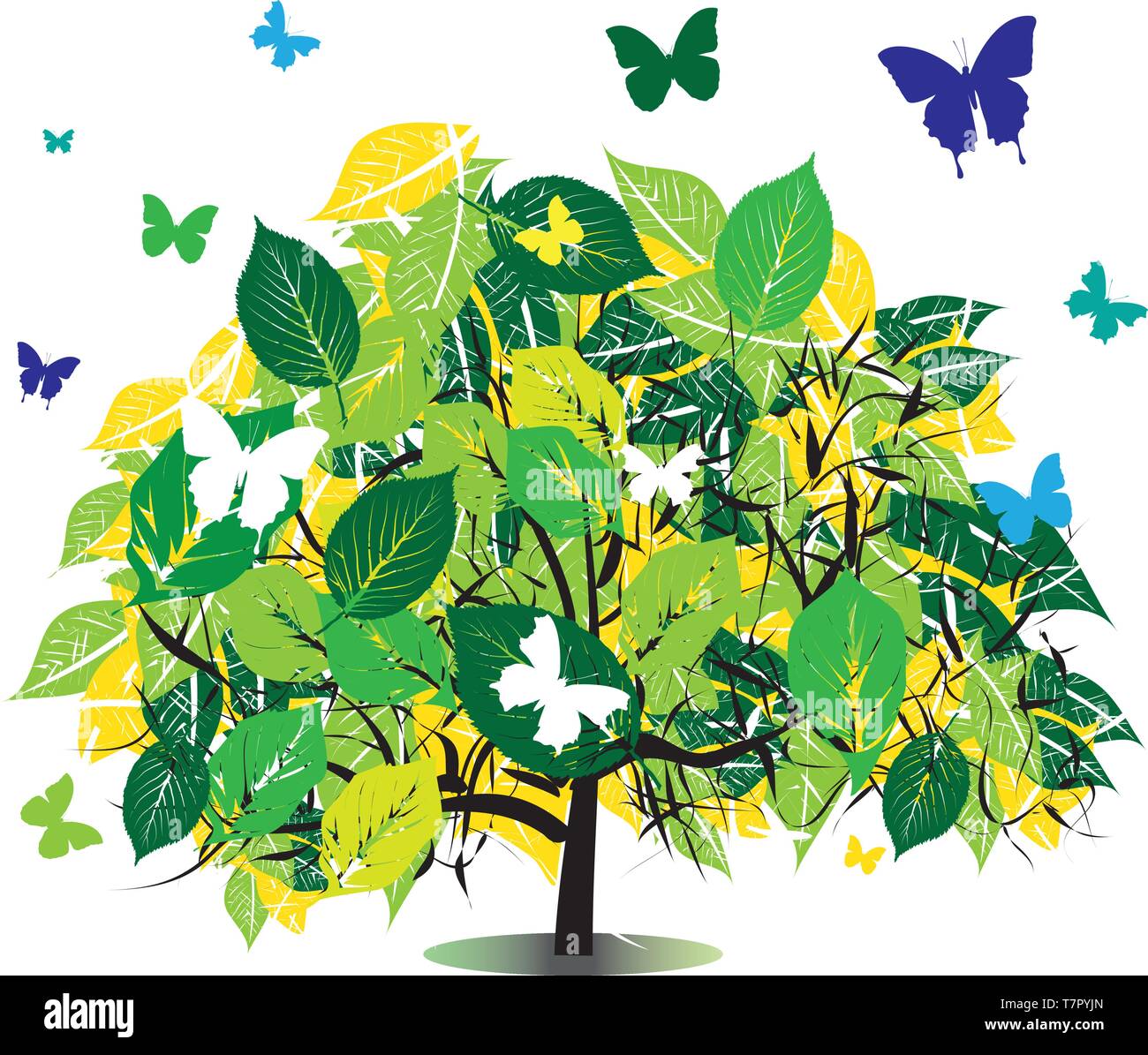 Summer tree vector illustration Stock Vector Image & Art - Alamy
