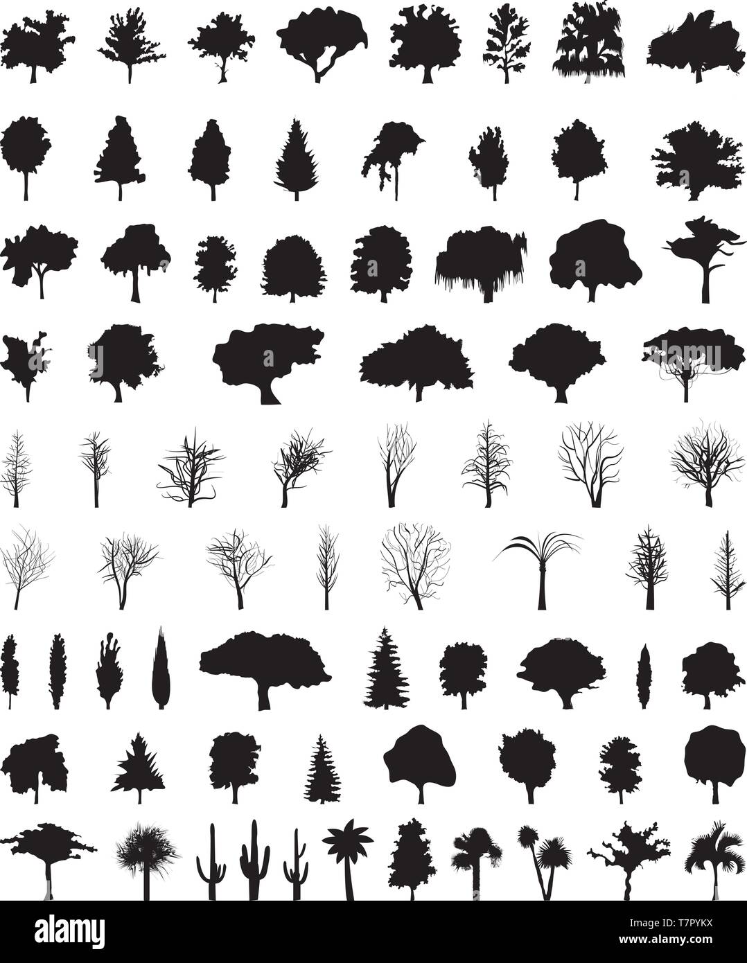 Forest maple birch trees Stock Vector Images - Alamy