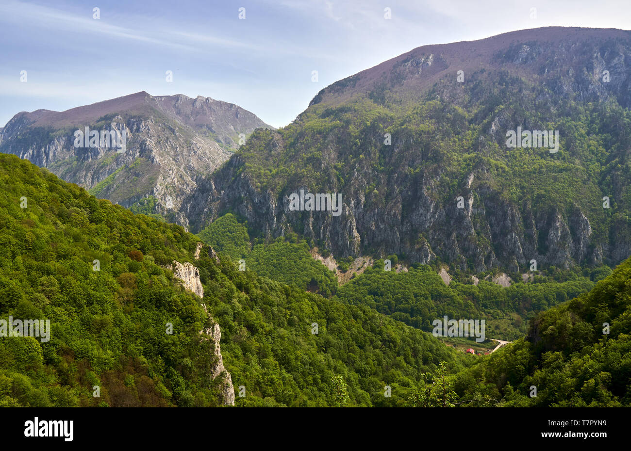 Afforested hi-res stock photography and images - Alamy